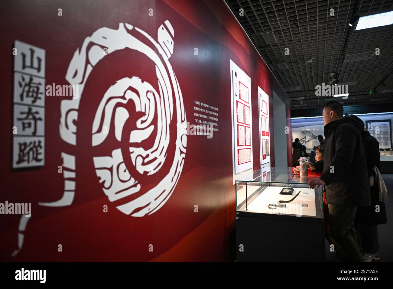 Beijing, China. 18th Jan, 2025. People view an exhibition panel with ...