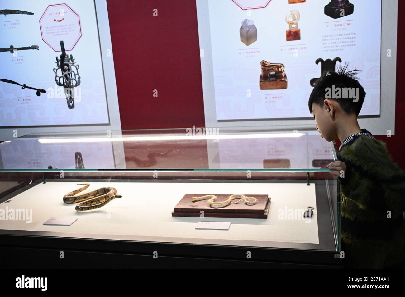 Beijing, China. 18th Jan, 2025. A boy views a snake skeleton at a ...