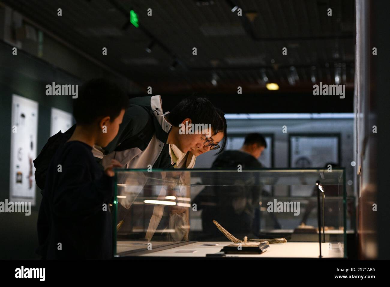 Beijing, China. 18th Jan, 2025. Visitors view exhibits at a Chinese ...