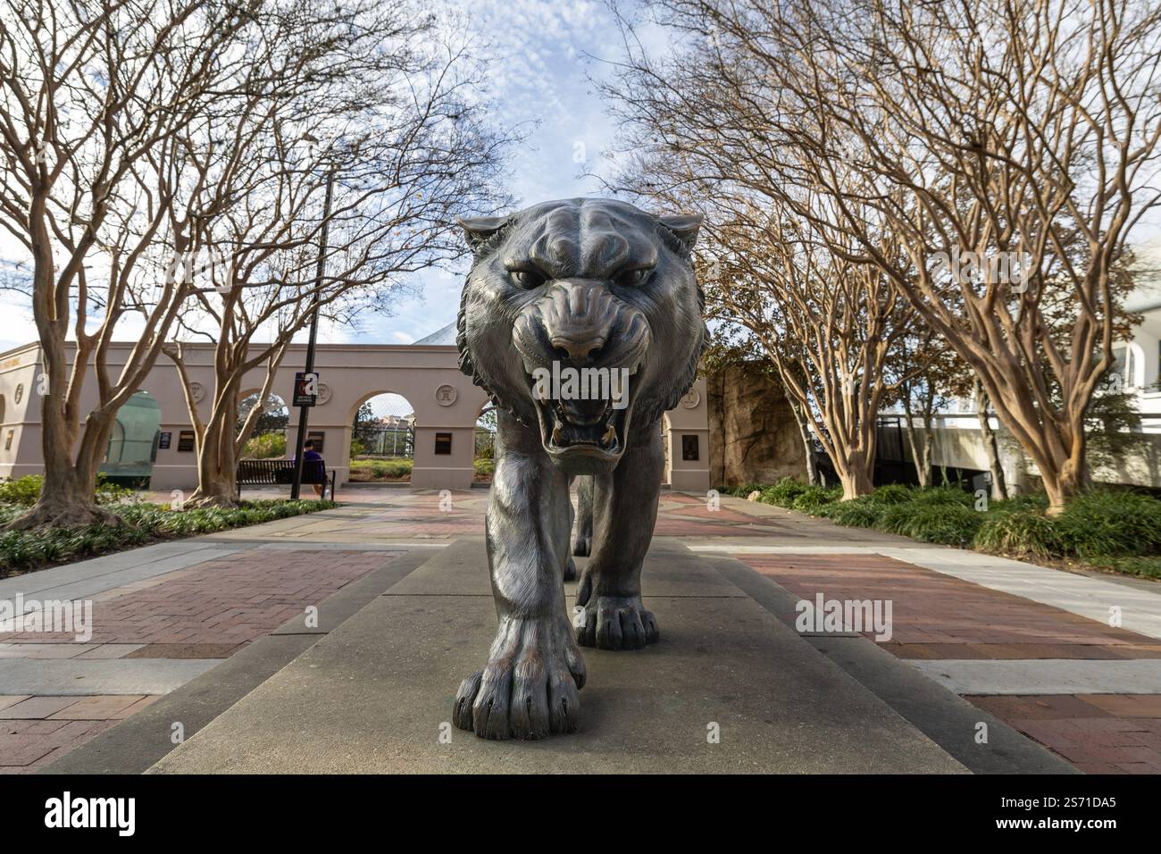 Baton Rouge, LA, USA. 17th Jan, 2025. LSU Tigers' mascot Mike's den ...