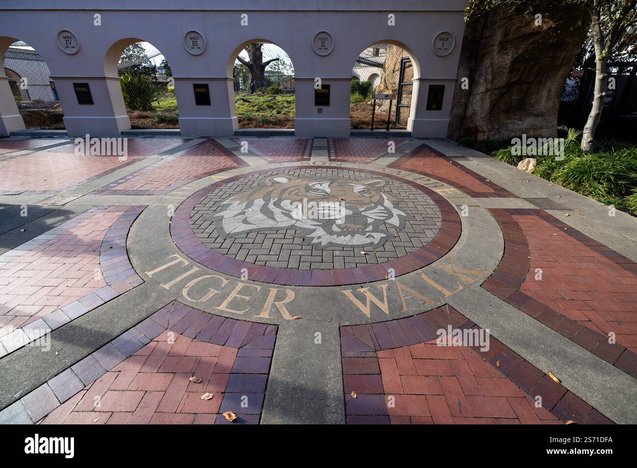 Baton Rouge, LA, USA. 17th Jan, 2025. LSU Tigers' mascot Mike's den ...