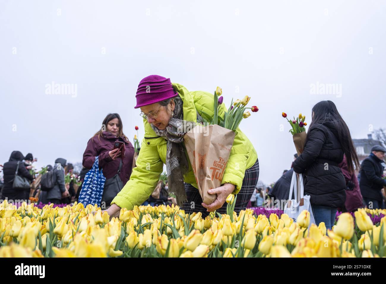 AMSTERDAM - Activists demonstrate during National Tulip Day. Visitors ...