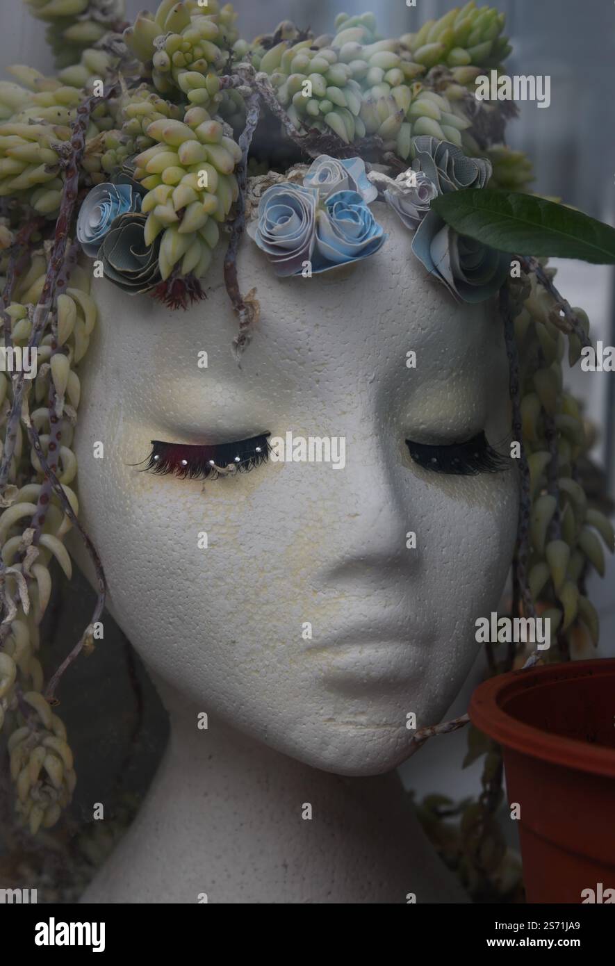 Human head planter Stock Photo - Alamy