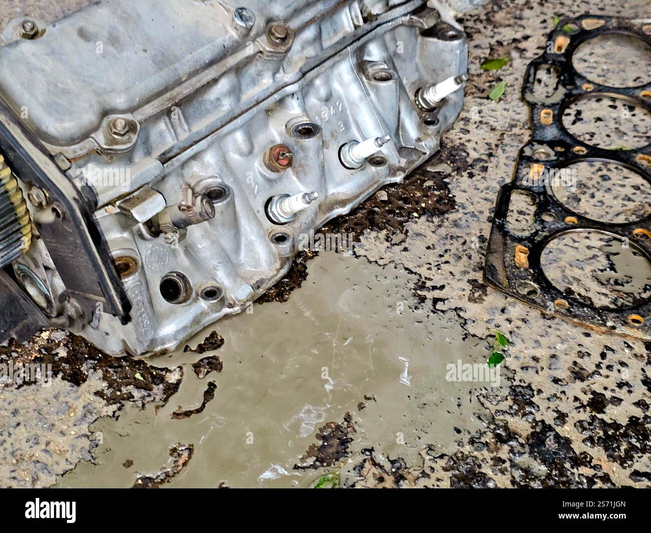 broken cylinder head gasket of the vehicle, with the Tahini like liquid ...