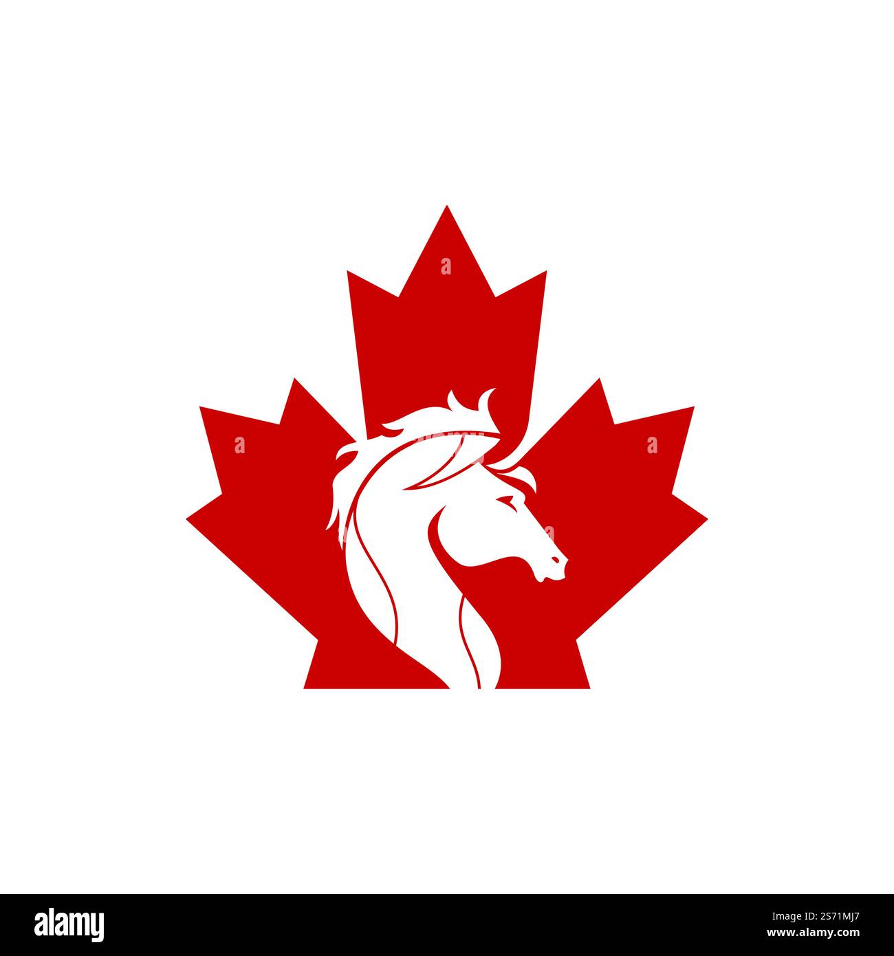 Canada horse logo vector design. Maple leaf horse vector icon design ...