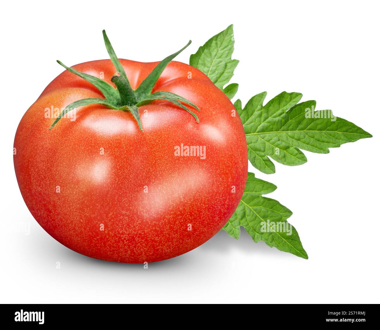 One fresh red tomato Cut Out Stock Images & Pictures - Alamy