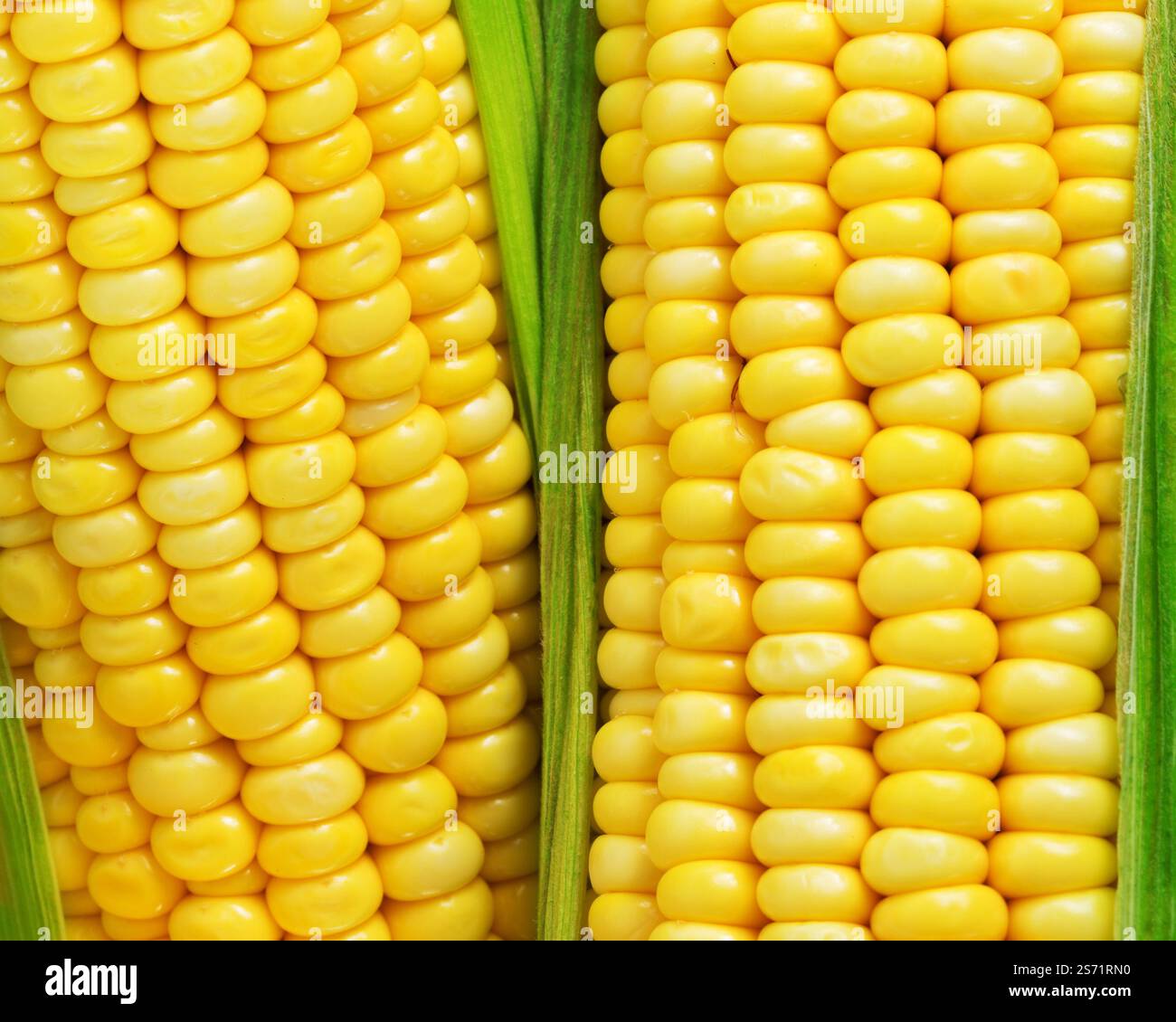 Corn on the cob kernels close up shot Stock Photo - Alamy