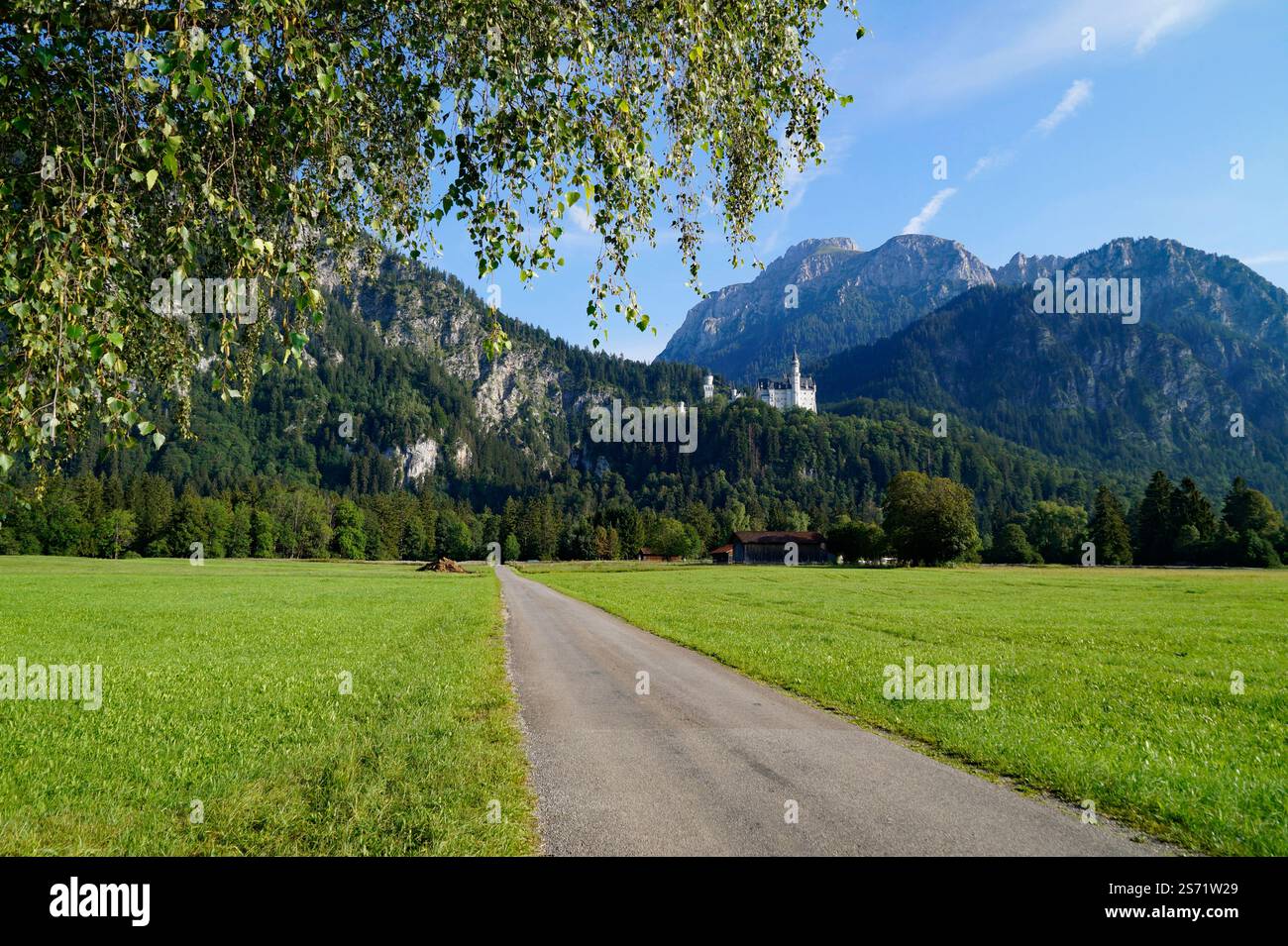 Medieval castle Neuschwanstein on a rugged hill in the Bavarian Alps ...
