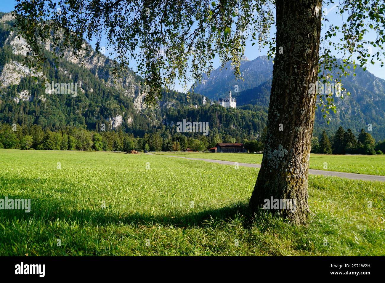 Medieval castle Neuschwanstein on a rugged hill in the Bavarian Alps ...