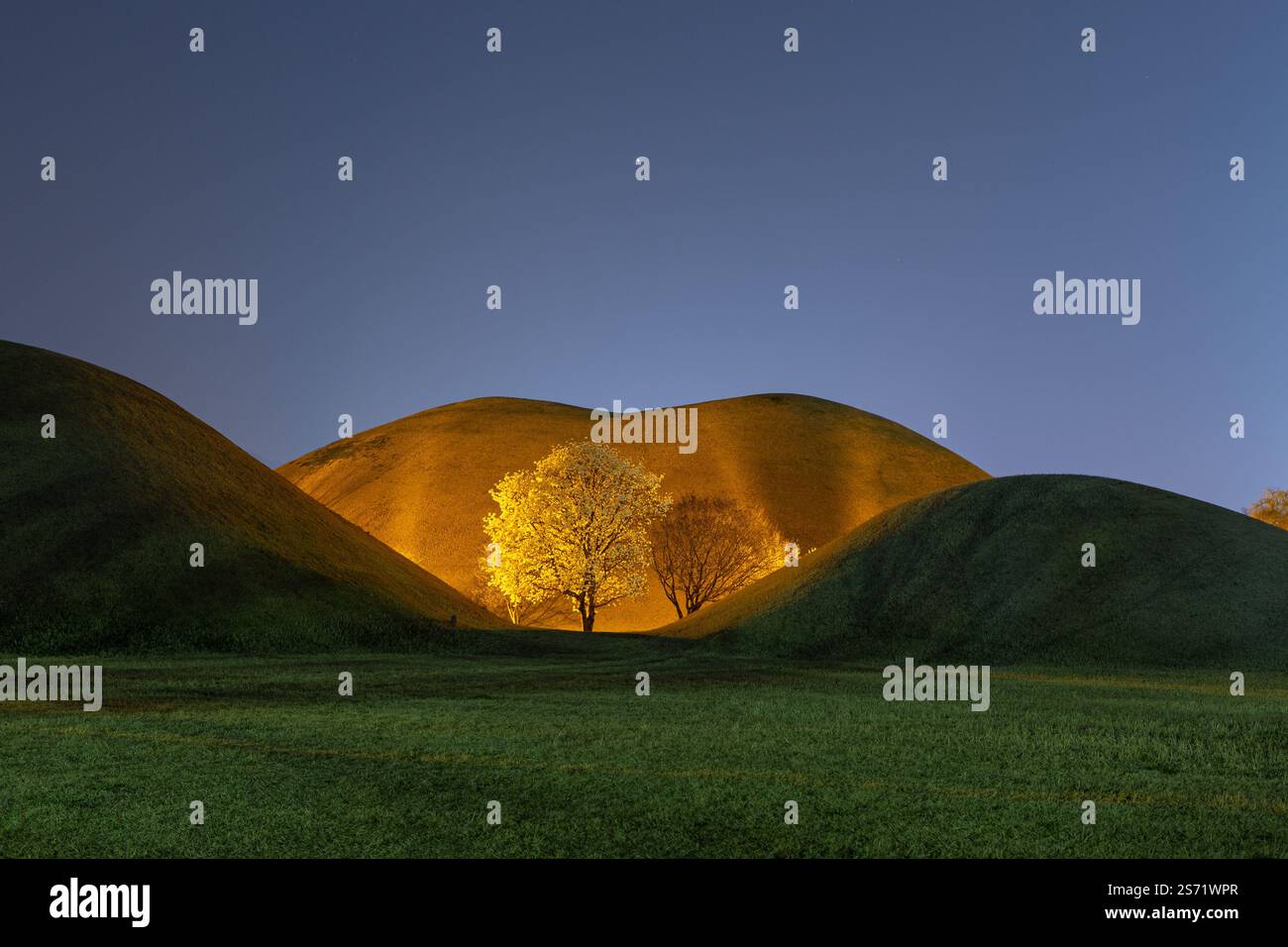Beautiful Korean scenery with magnolia trees blooming among royal tombs ...