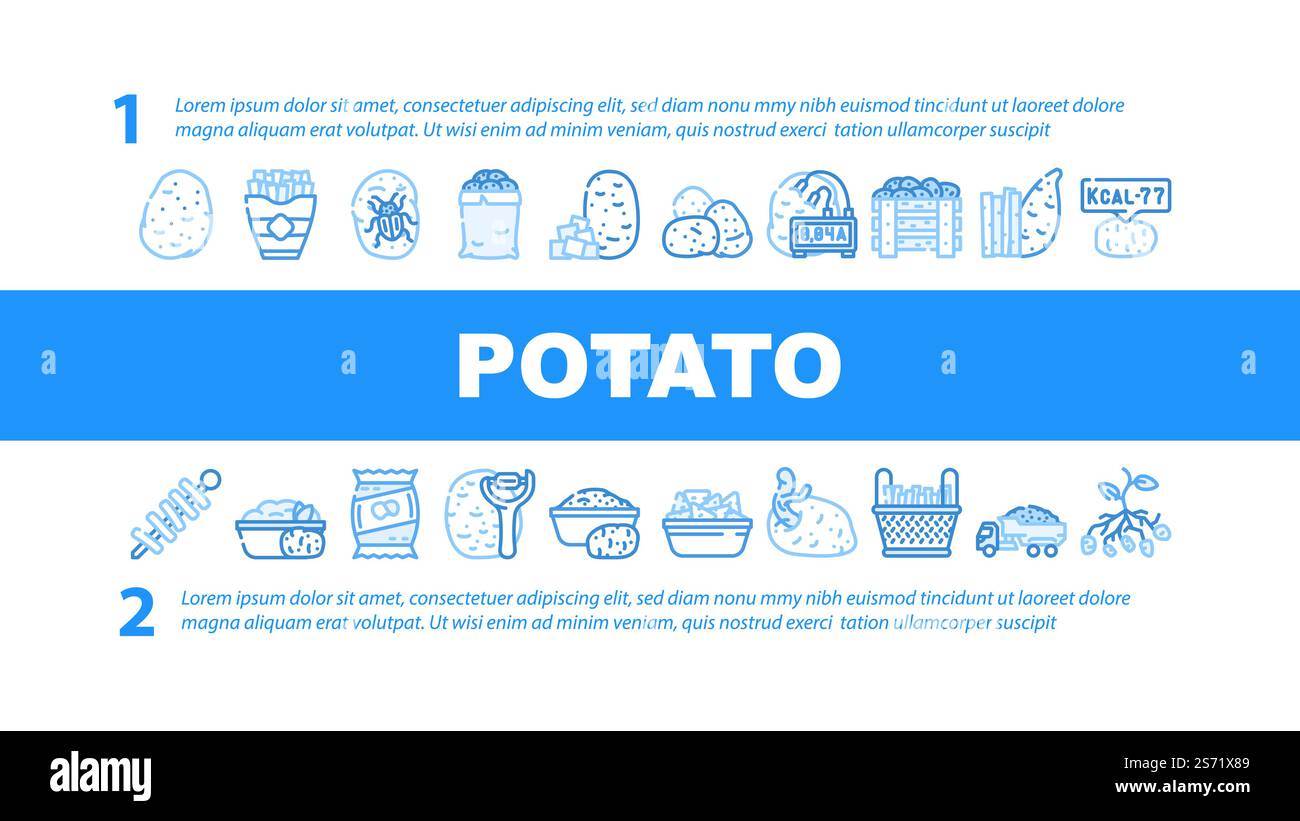 potato vegetable food fresh landing web page header vector. raw organic ...