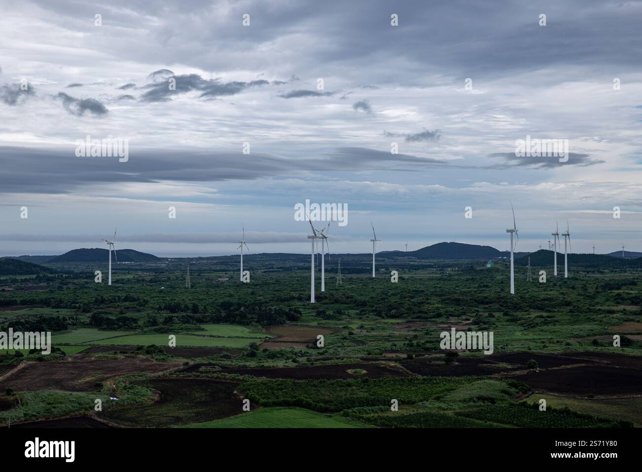 Jeju Island's pasture landscape with green grass and blue sky, clear ...