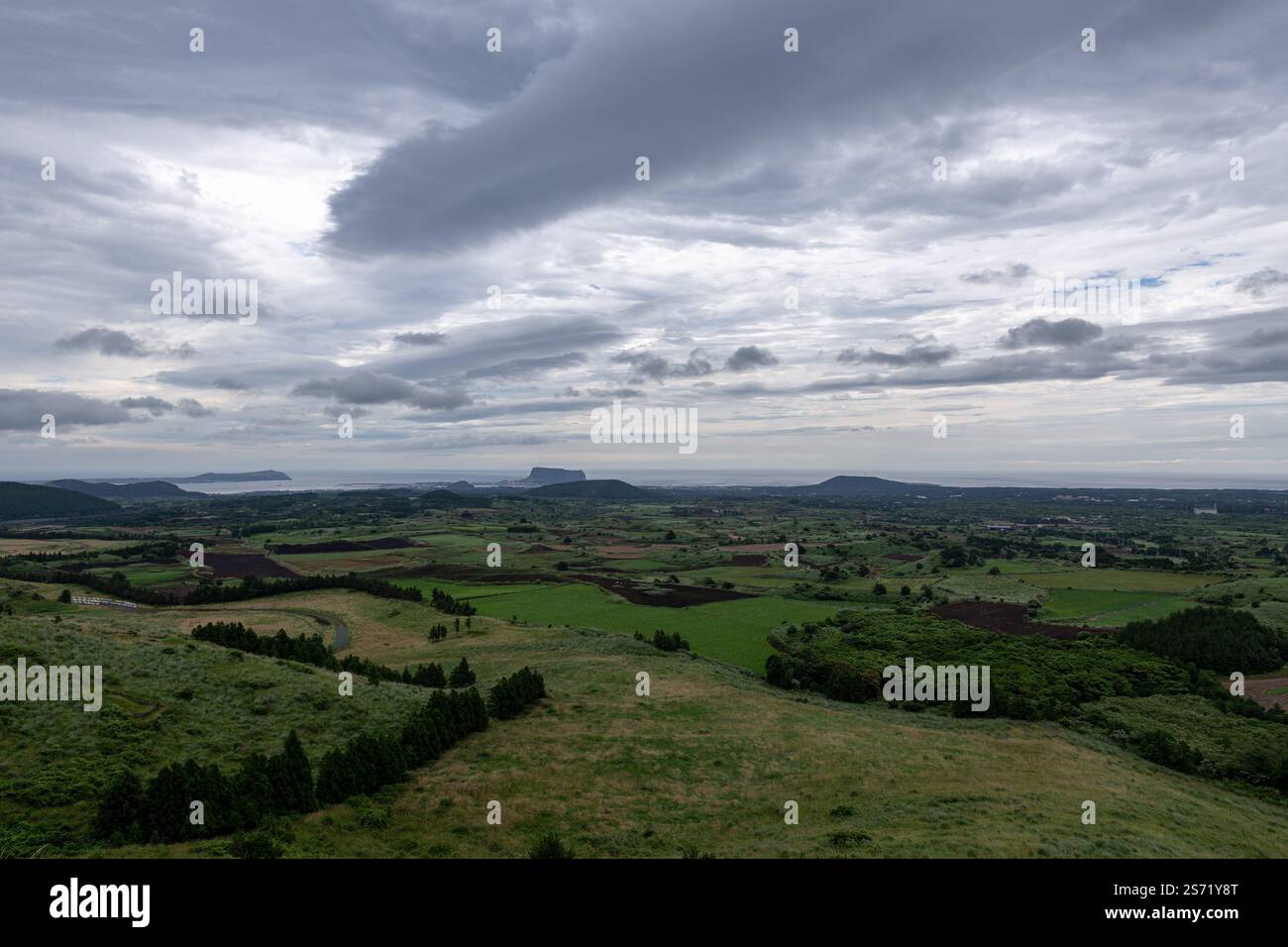 Jeju Island's pasture landscape with green grass and blue sky, clear ...