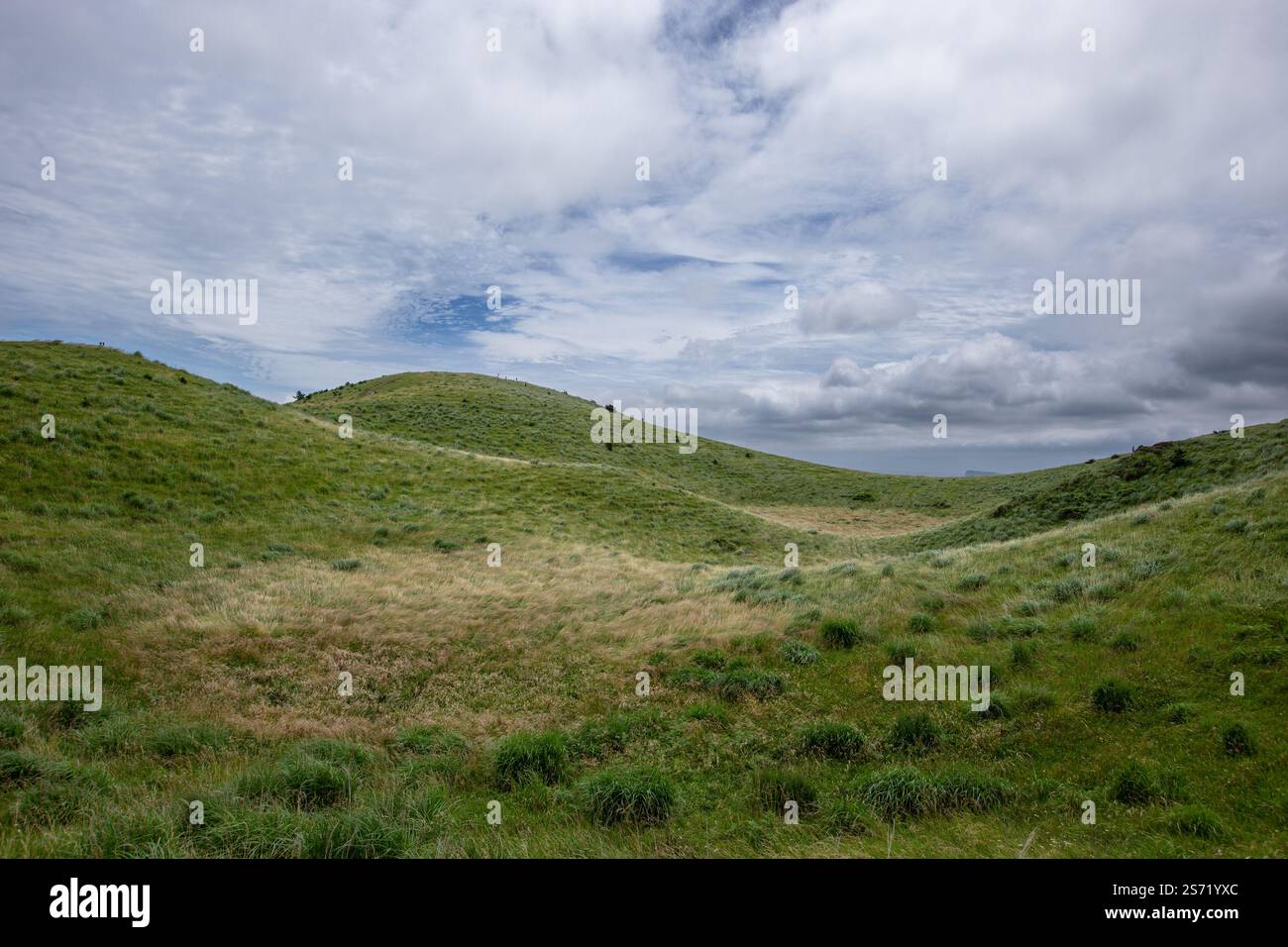 Jeju Island's pasture landscape with green grass and blue sky, clear ...