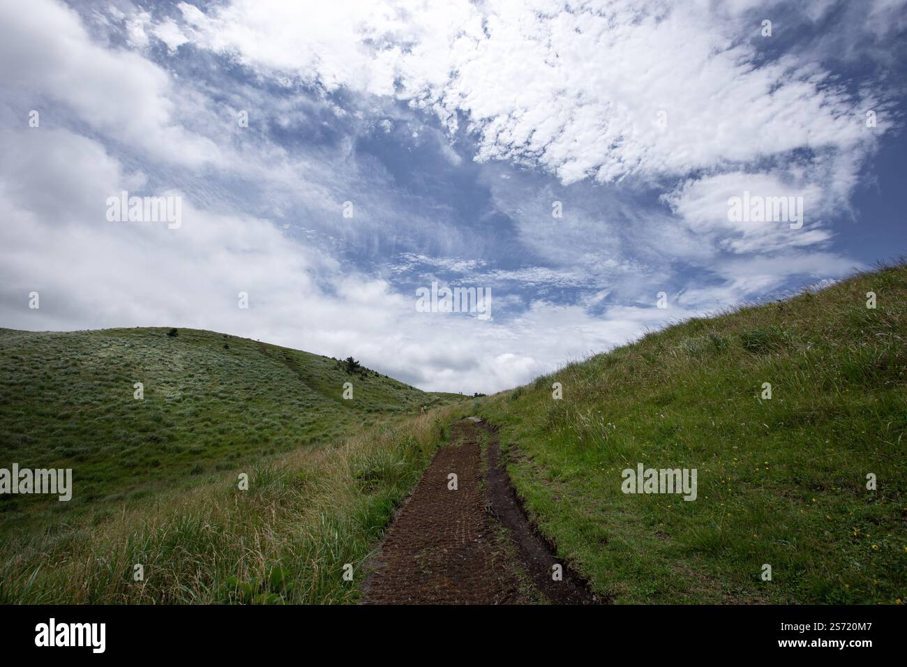 Jeju Island's pasture landscape with green grass and blue sky, clear ...