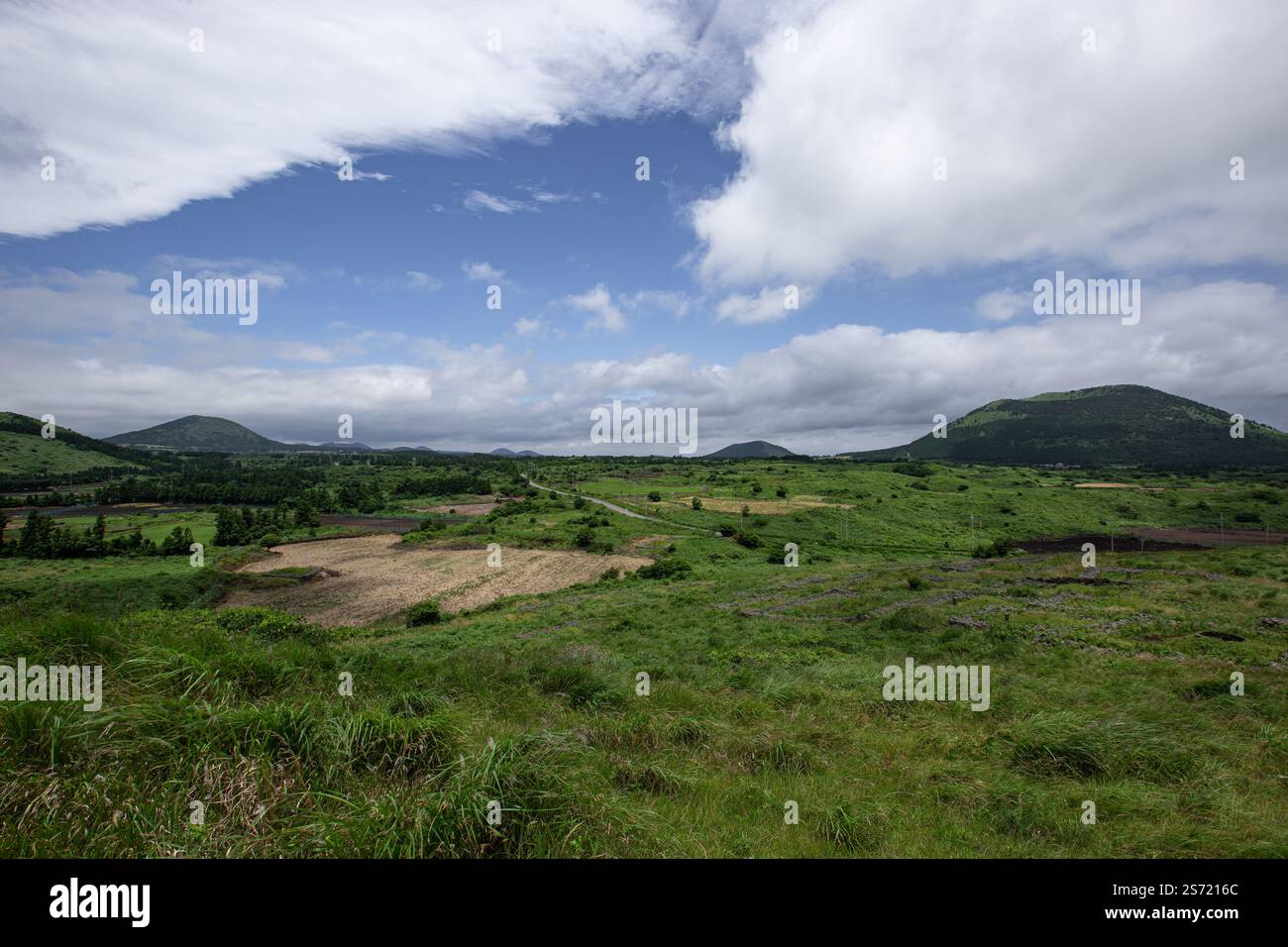 Jeju Island's pasture landscape with green grass and blue sky, clear ...