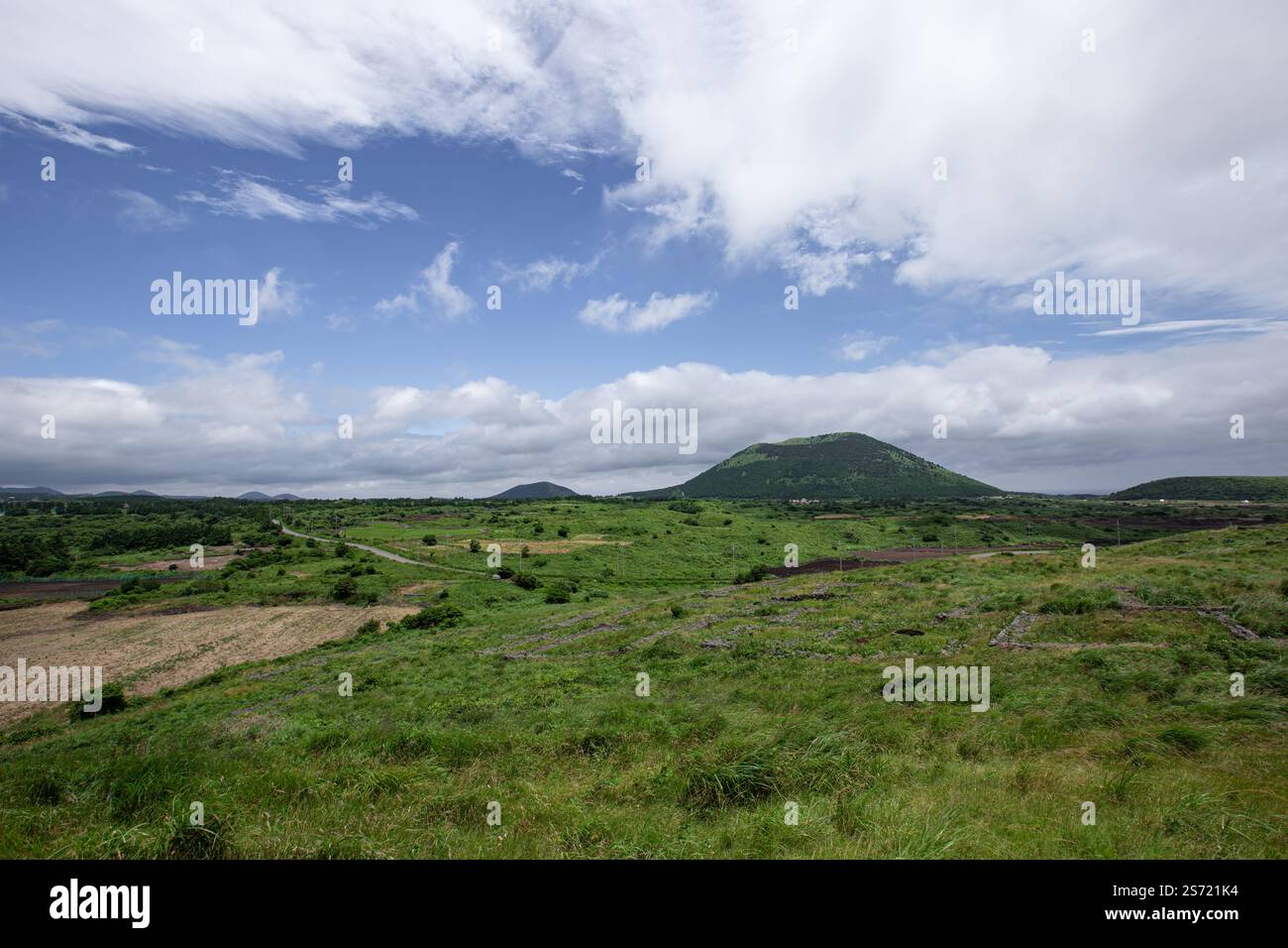 Jeju Island's pasture landscape with green grass and blue sky, clear ...