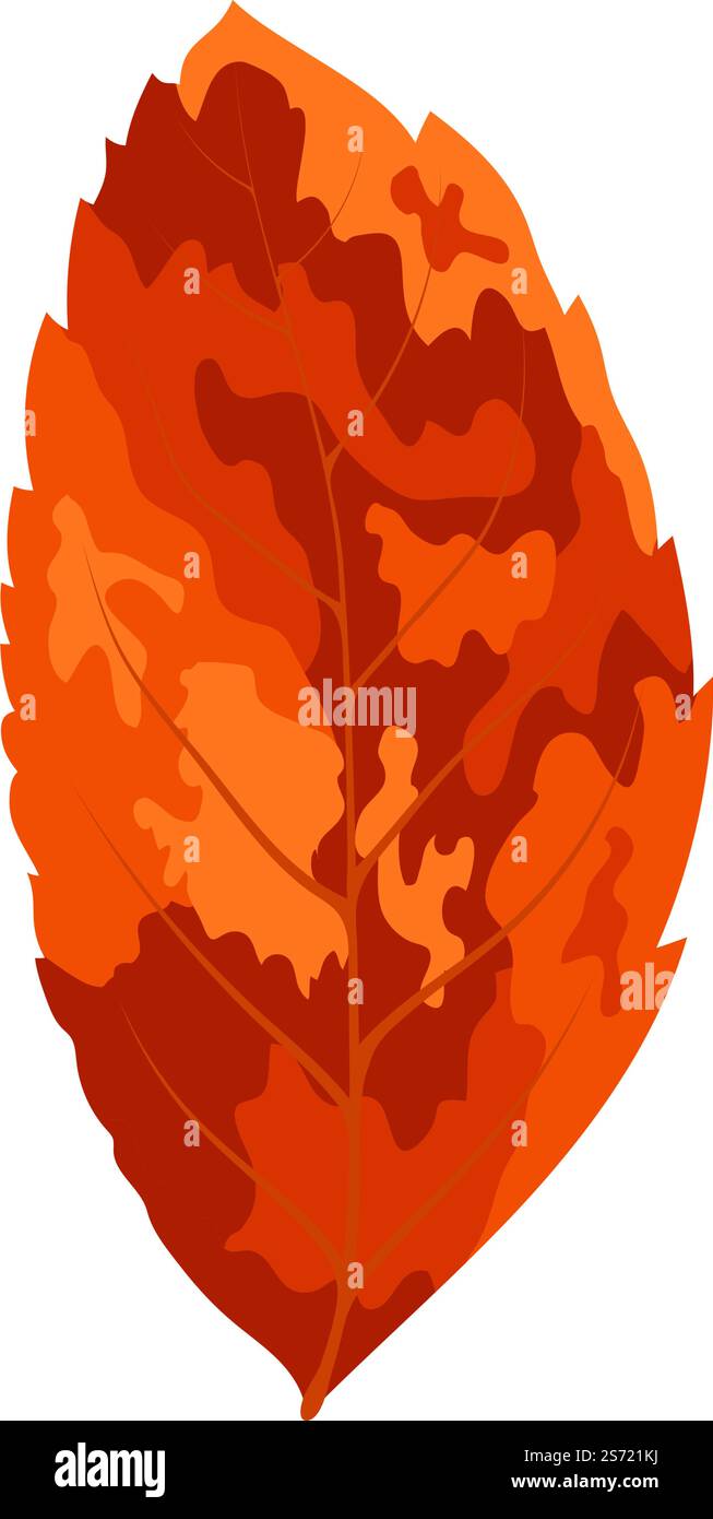 Autumn ash-tree leaf. Leaf fall. Vector illustration Stock Vector Image ...