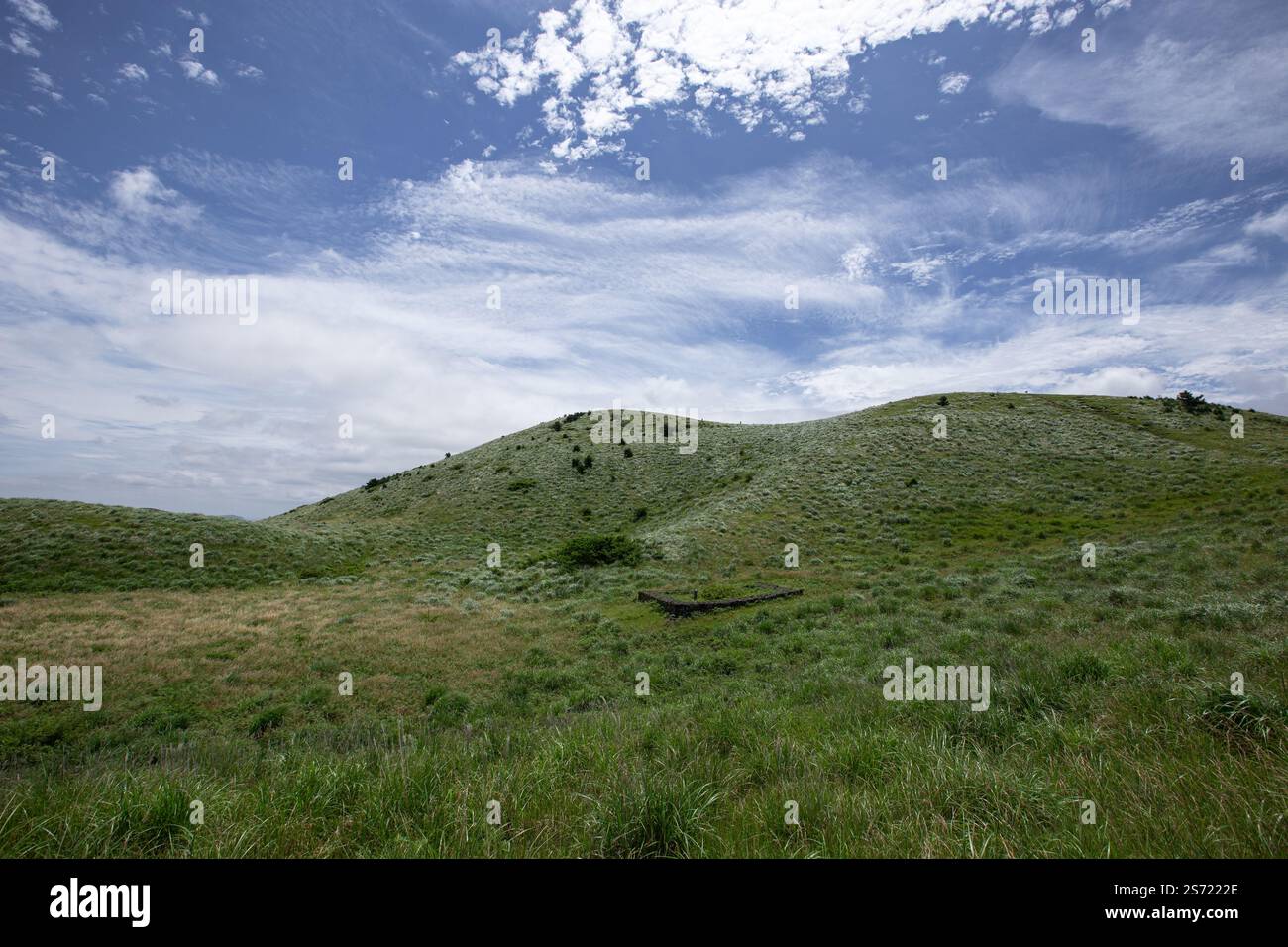 Jeju Island's pasture landscape with green grass and blue sky, clear ...