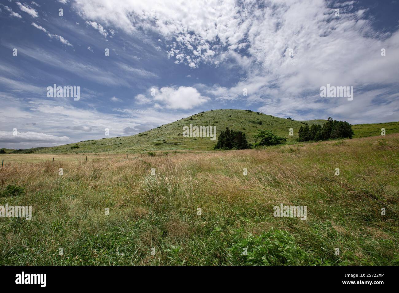 Jeju Island's pasture landscape with green grass and blue sky, clear ...