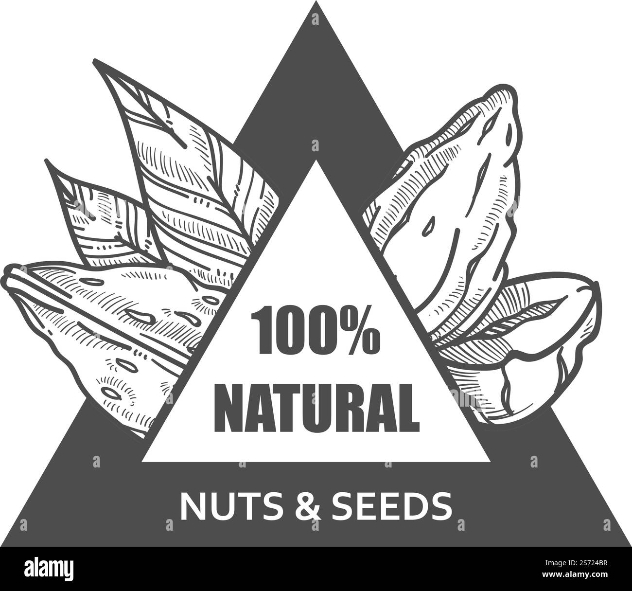 Roasted nut selection Stock Vector Images - Alamy