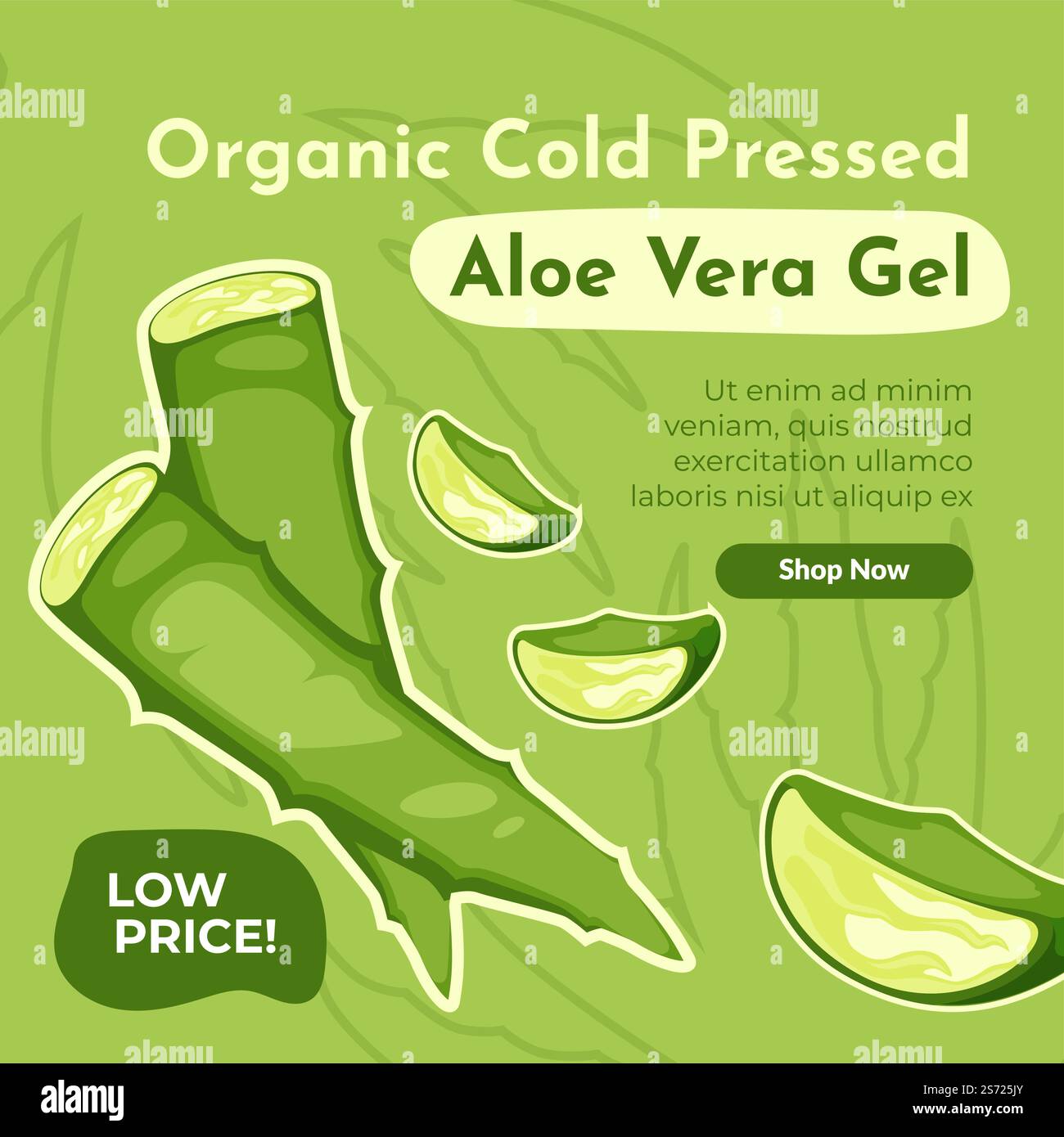 Cold pressed aloe vera gel hi-res stock photography and images - Alamy