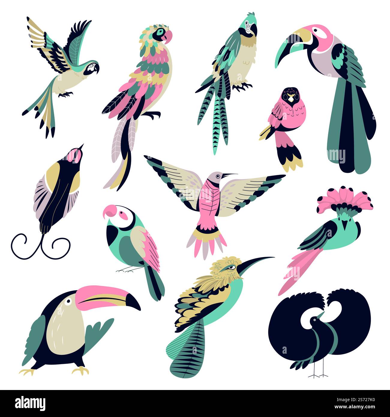 Isolated parrot varieties and types avian hi-res stock photography and ...