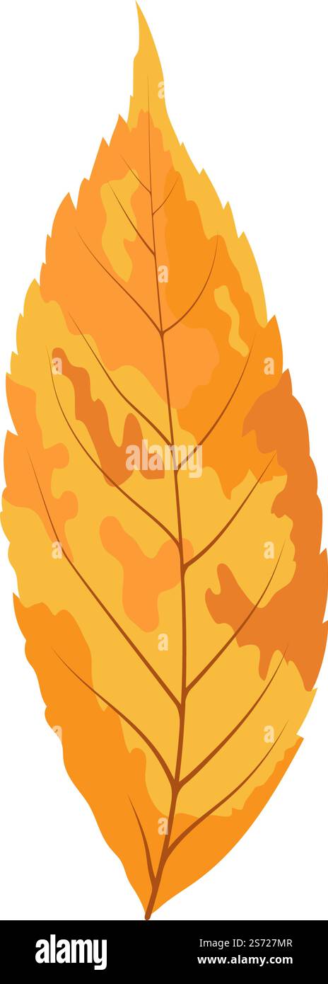 Autumn ash-tree leaf. Leaf fall. Vector illustration Stock Vector Image ...
