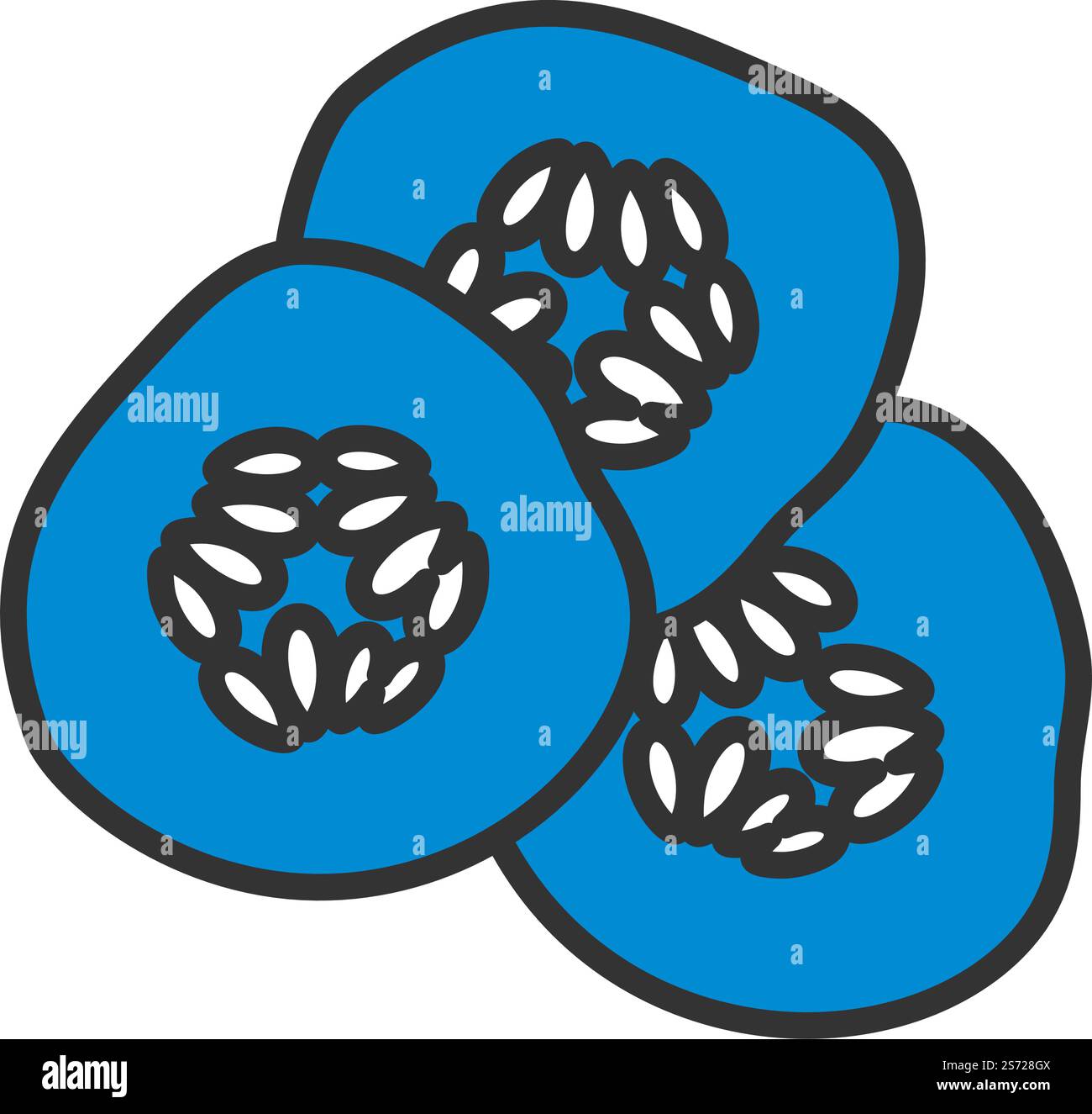 Cucumber Slices For SPA Icon. Editable Bold Outline With Color Fill ...