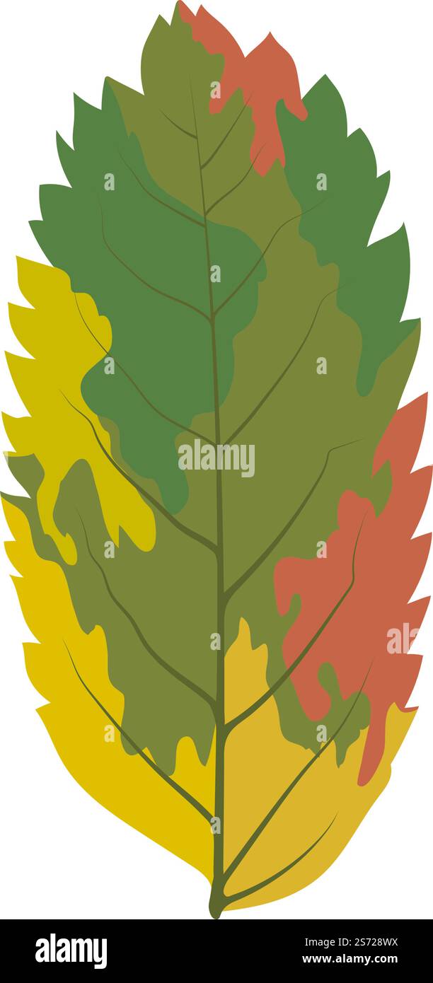 Autumn Rowan leaf. Leaf fall. Vector illustration Stock Vector Image & Art - Alamy