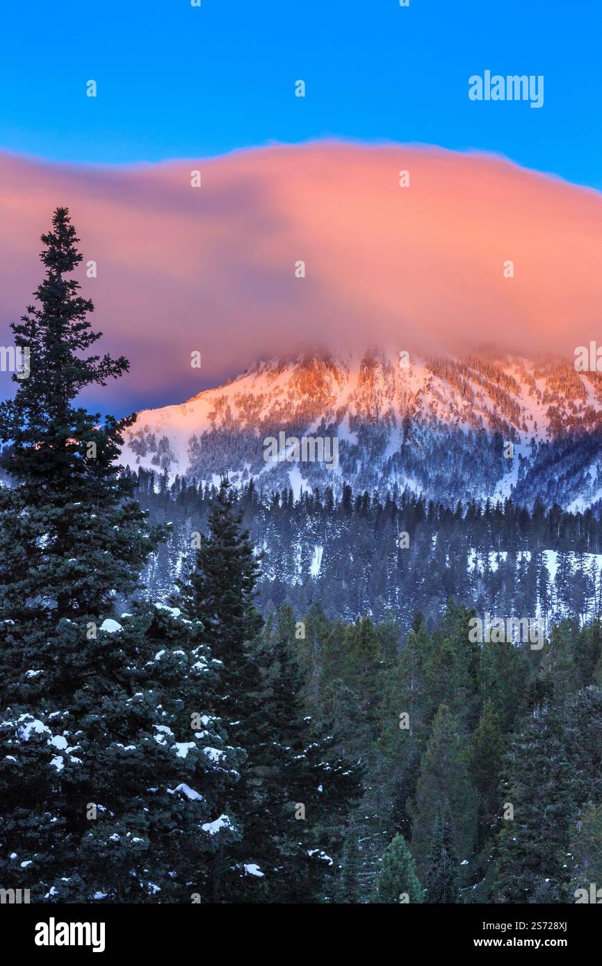 first light on a cloud bank shrouding ross peak in the bridger range ...