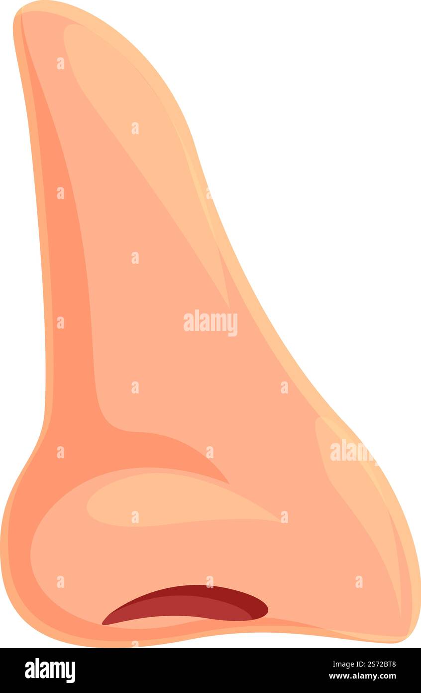 Rhinoplasty operation icon cartoon vector. Nose surgery. Plastic ...