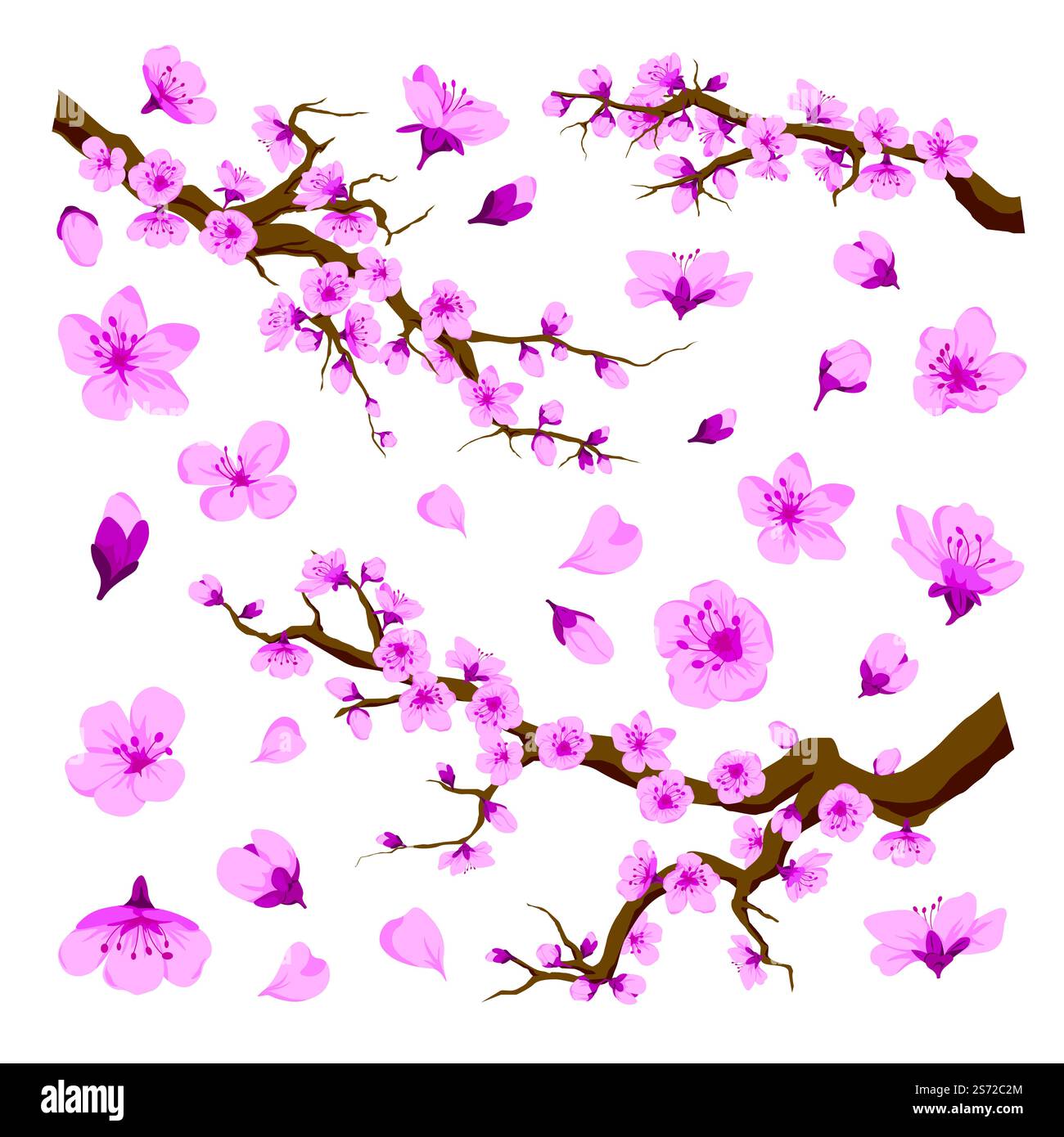Floral seamless pattern with sakura blossom, cherry tree blooming and ...