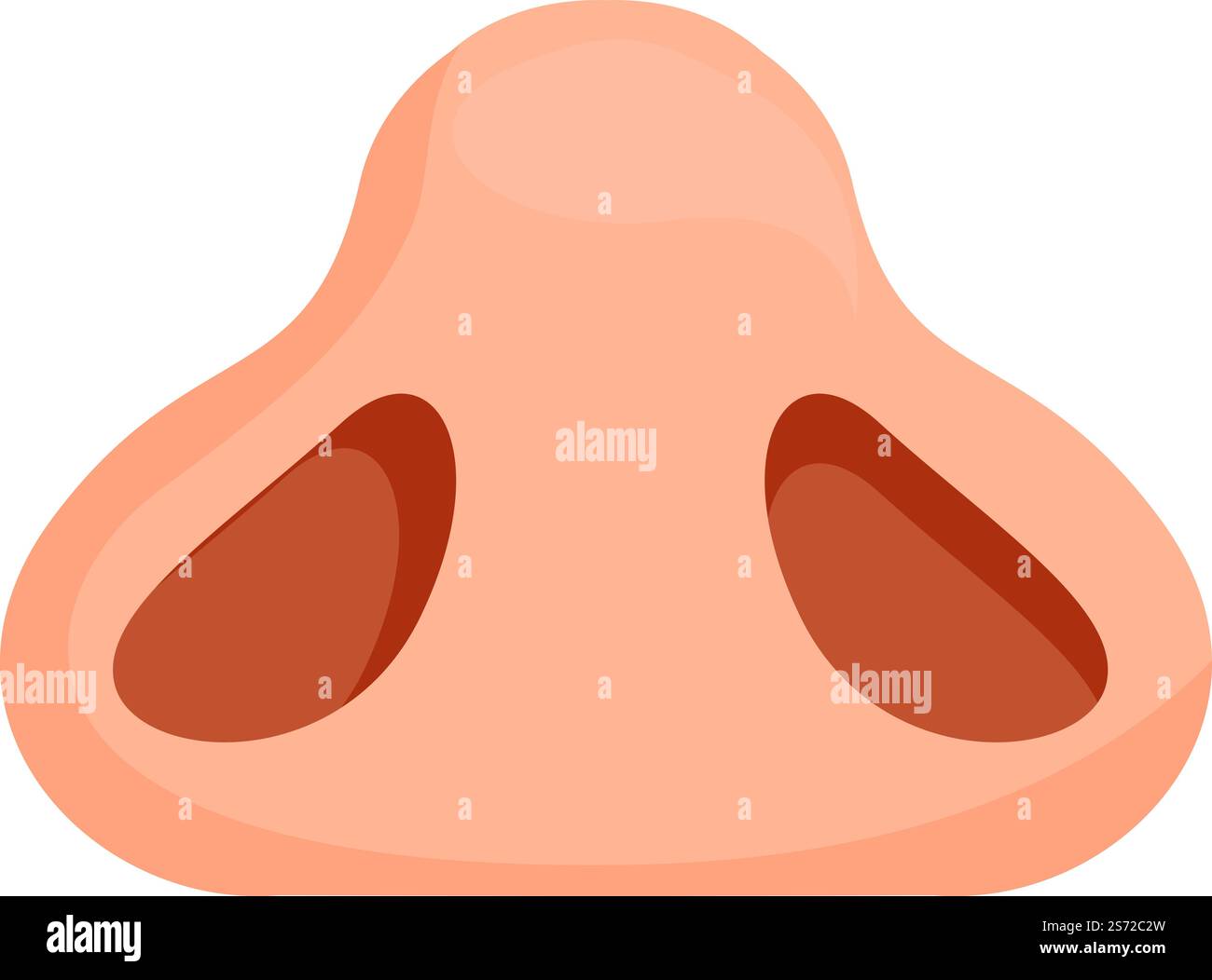 Beauty rhinoplasty icon cartoon vector. Nose surgery. Anatomy face ...