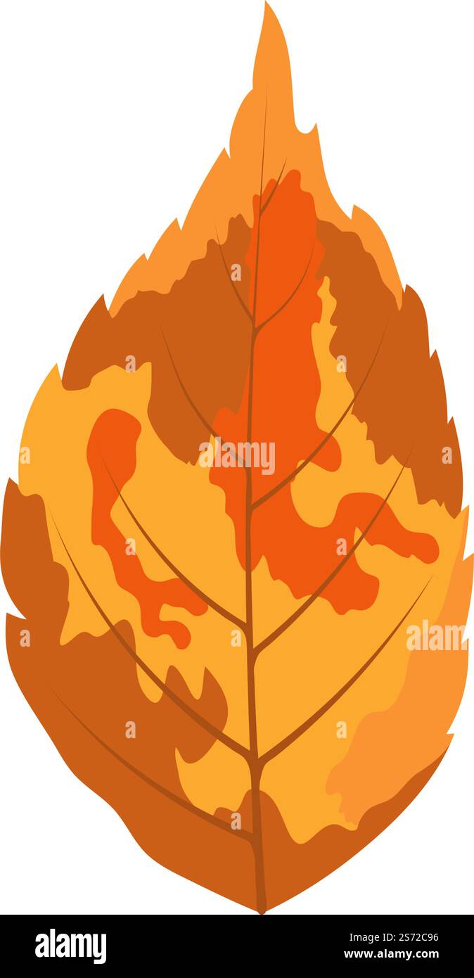 Autumn ash-tree leaf. Leaf fall. Vector illustration Stock Vector Image ...