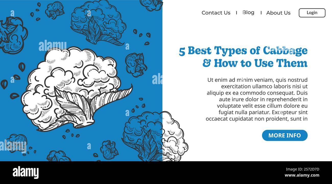 Cabbage types and recipes for healthy and balanced diet, nutrition and ...