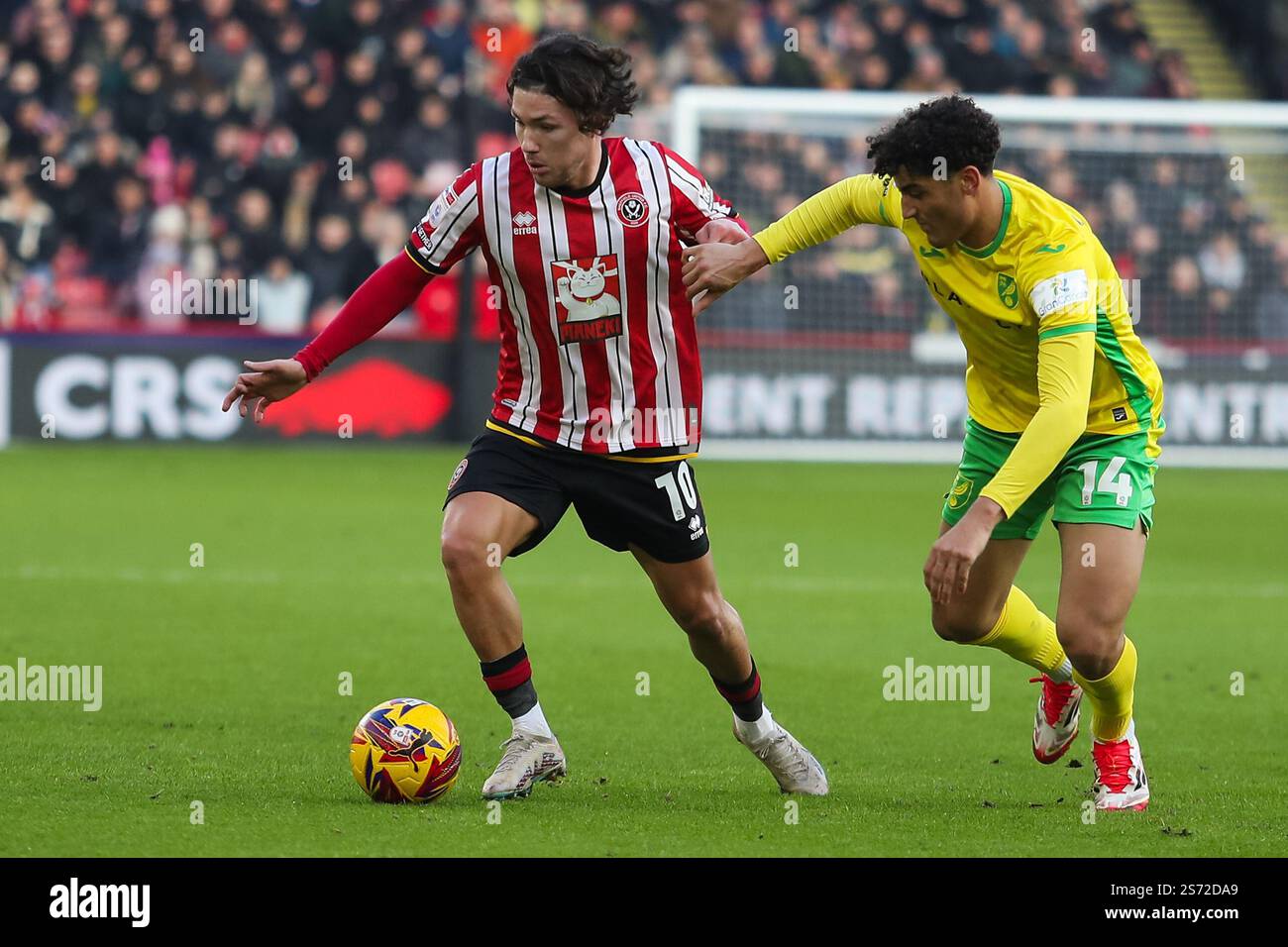Ben Chrisene Of Norwich City battles with Callum O'Hare Of Sheffield ...