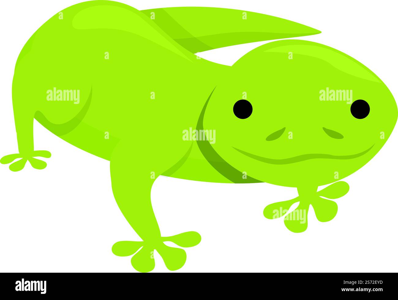 Leopard gecko face Stock Vector Images - Alamy