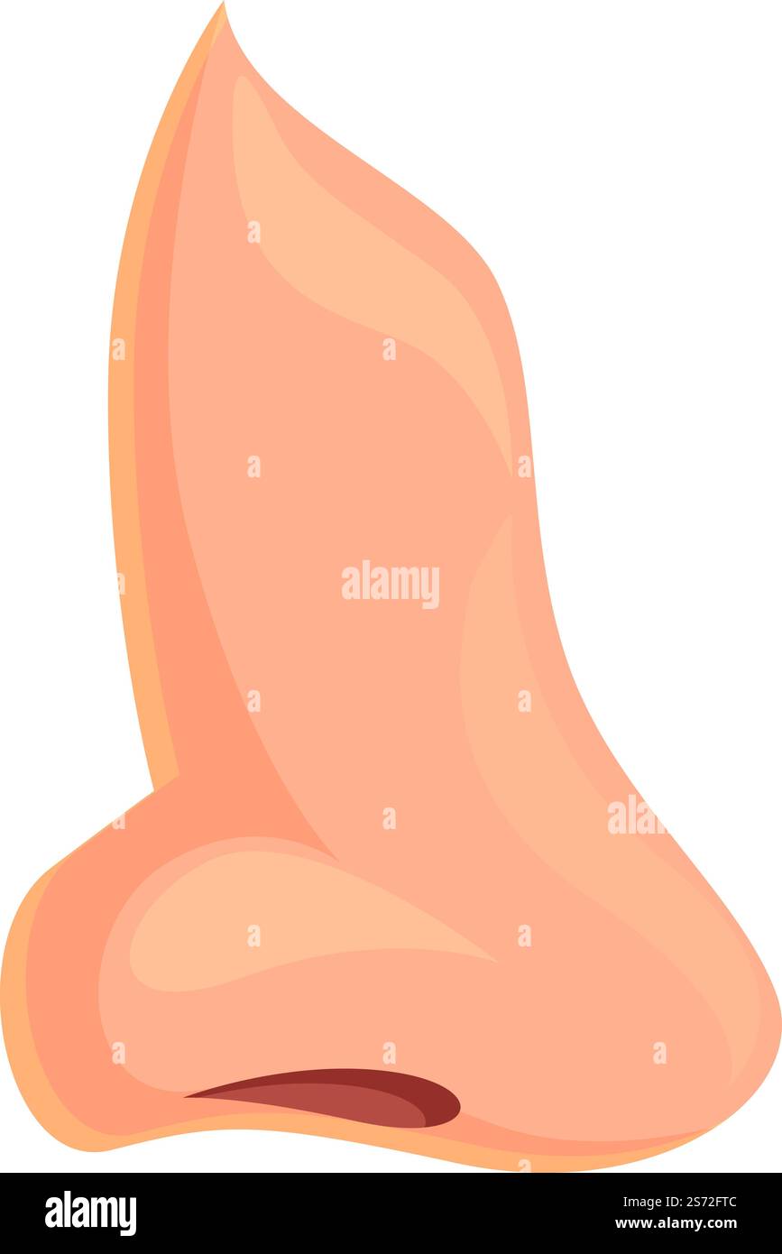 Anatomy rhinoplasty icon cartoon vector. Nose surgery. Plastic face ...