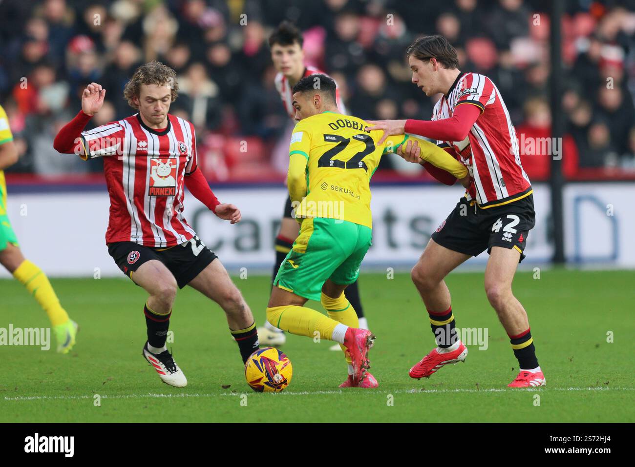 Sheffield, UK. 18th Jan, 2025. Lewis Dobbin of Norwich City is ...
