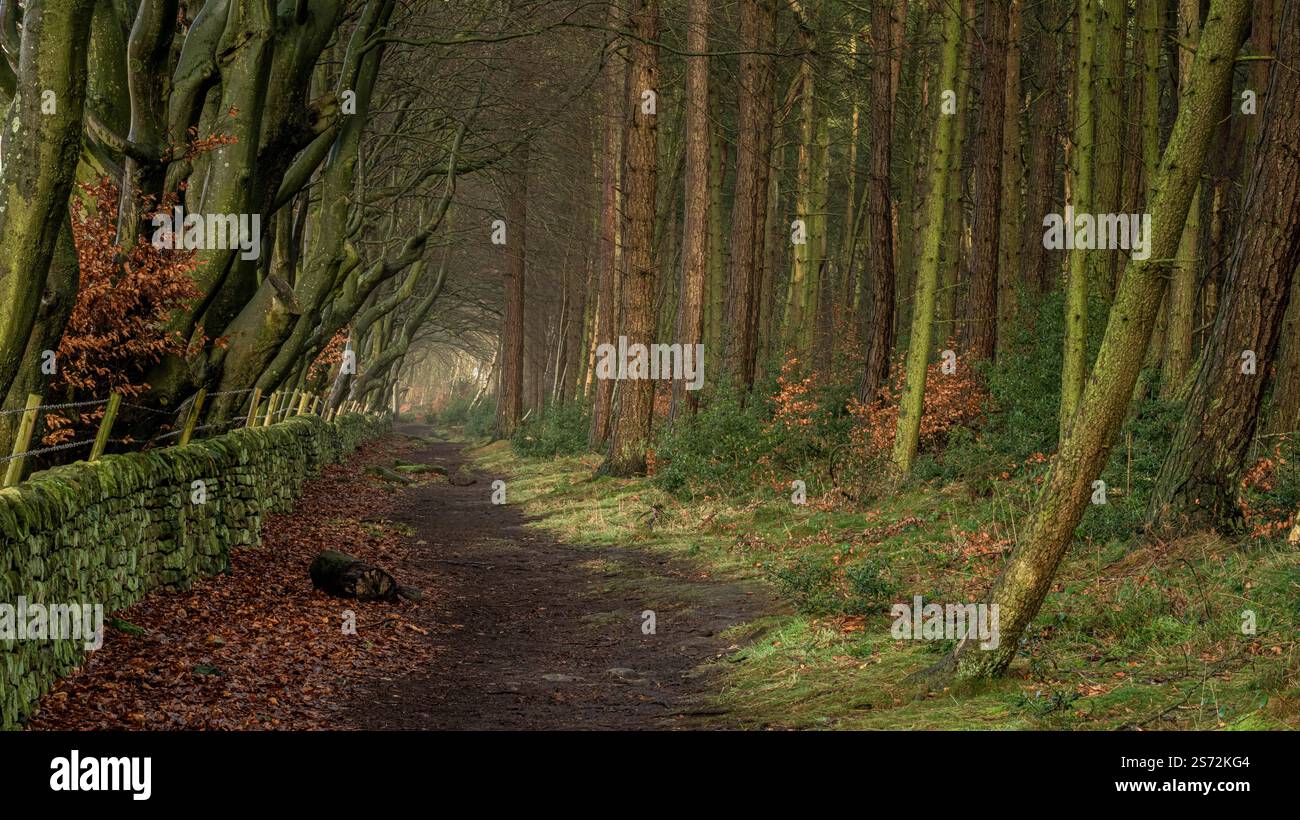 Upper moor hi-res stock photography and images - Alamy