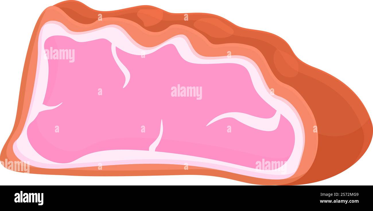 Meat cooking icon cartoon vector. Beef food. Raw ham. Meat cooking icon ...