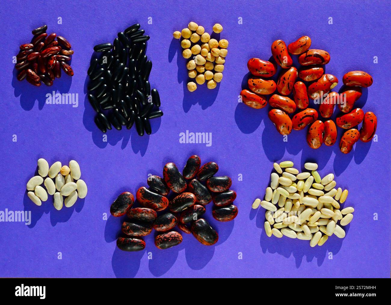 Bean Seed arrangement showing a selection of garden seeds including ...