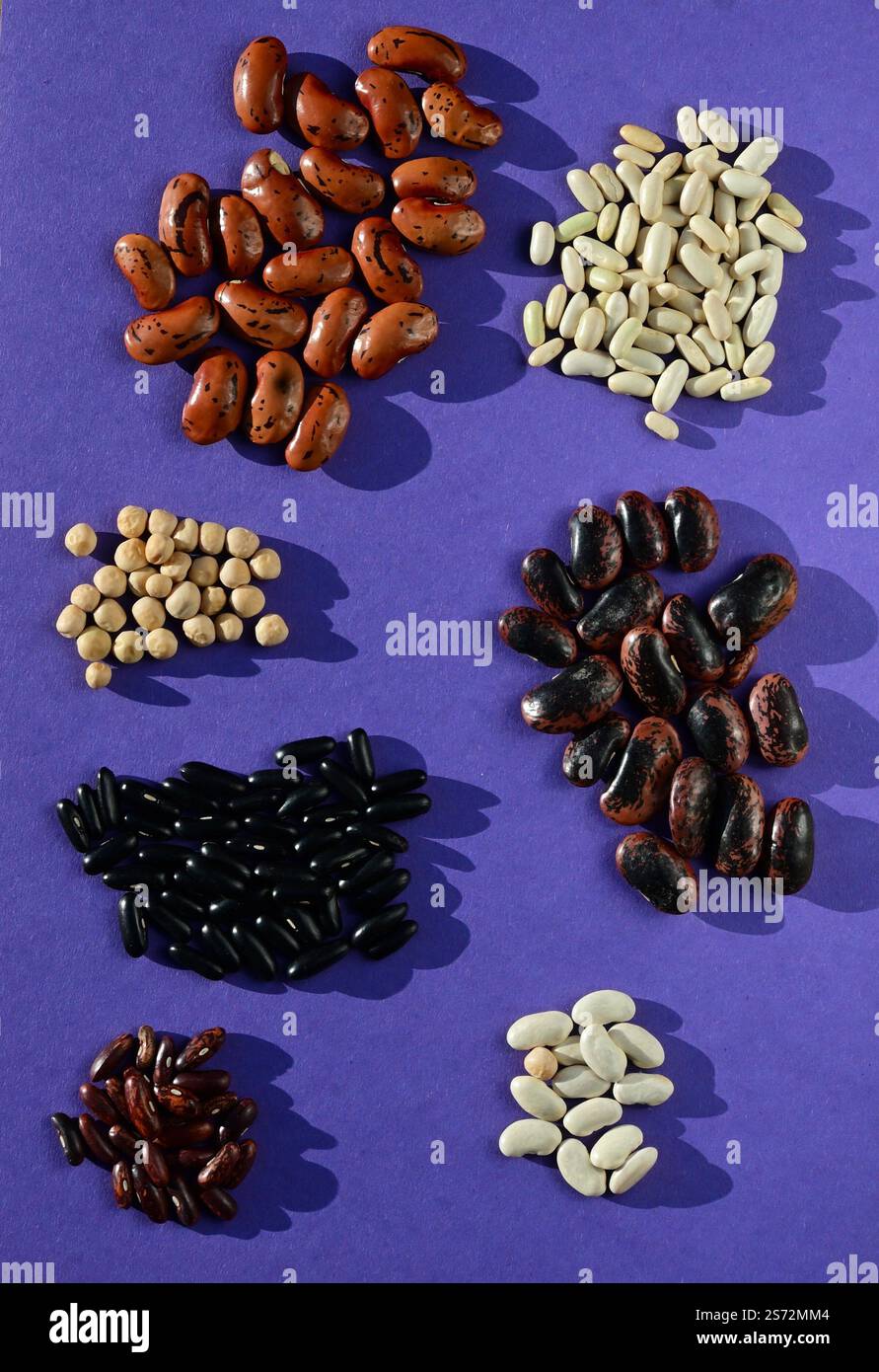 Bean Seed arrangement showing a selection of garden seeds including ...