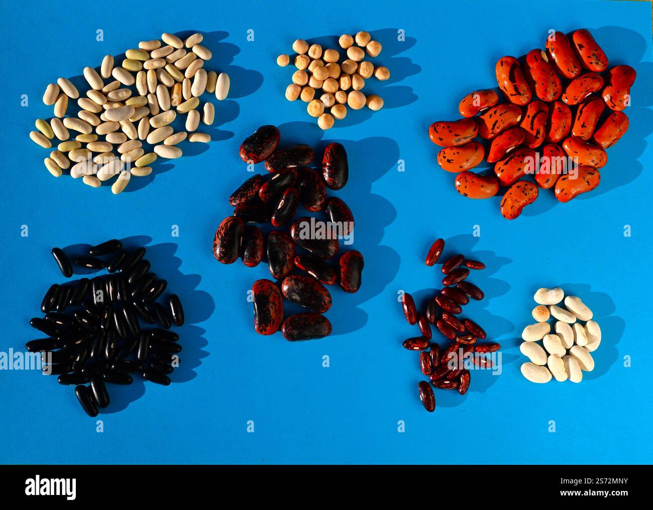 Bean Seed arrangement showing a selection of garden seeds including ...