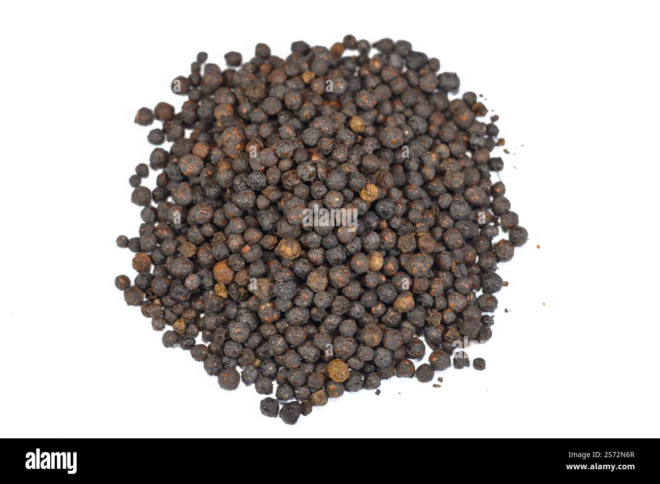 Black pepper (Piper nigrum), a flowering vine in the family Piperaceae ...