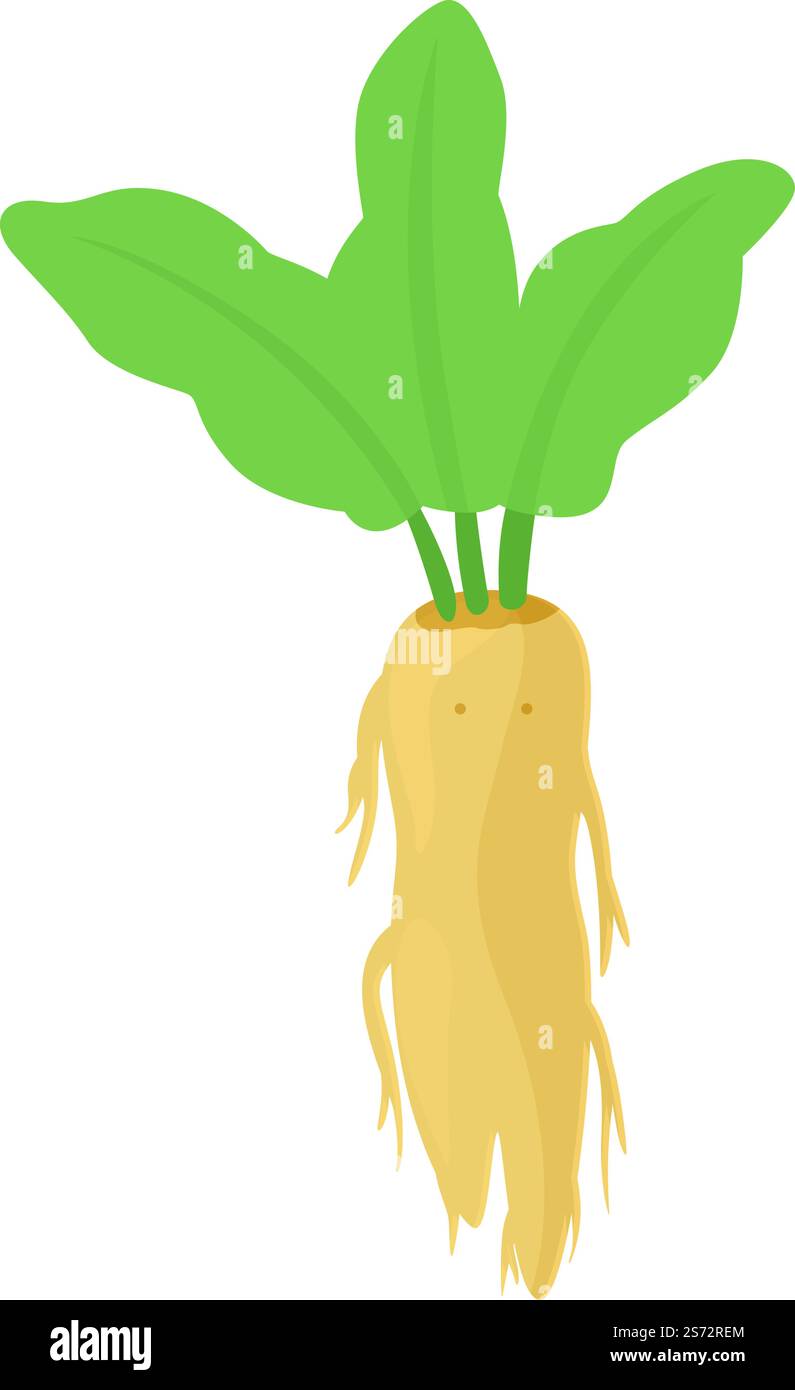 Medicine mandrake icon cartoon vector. Magic mandragora. Root nature ...