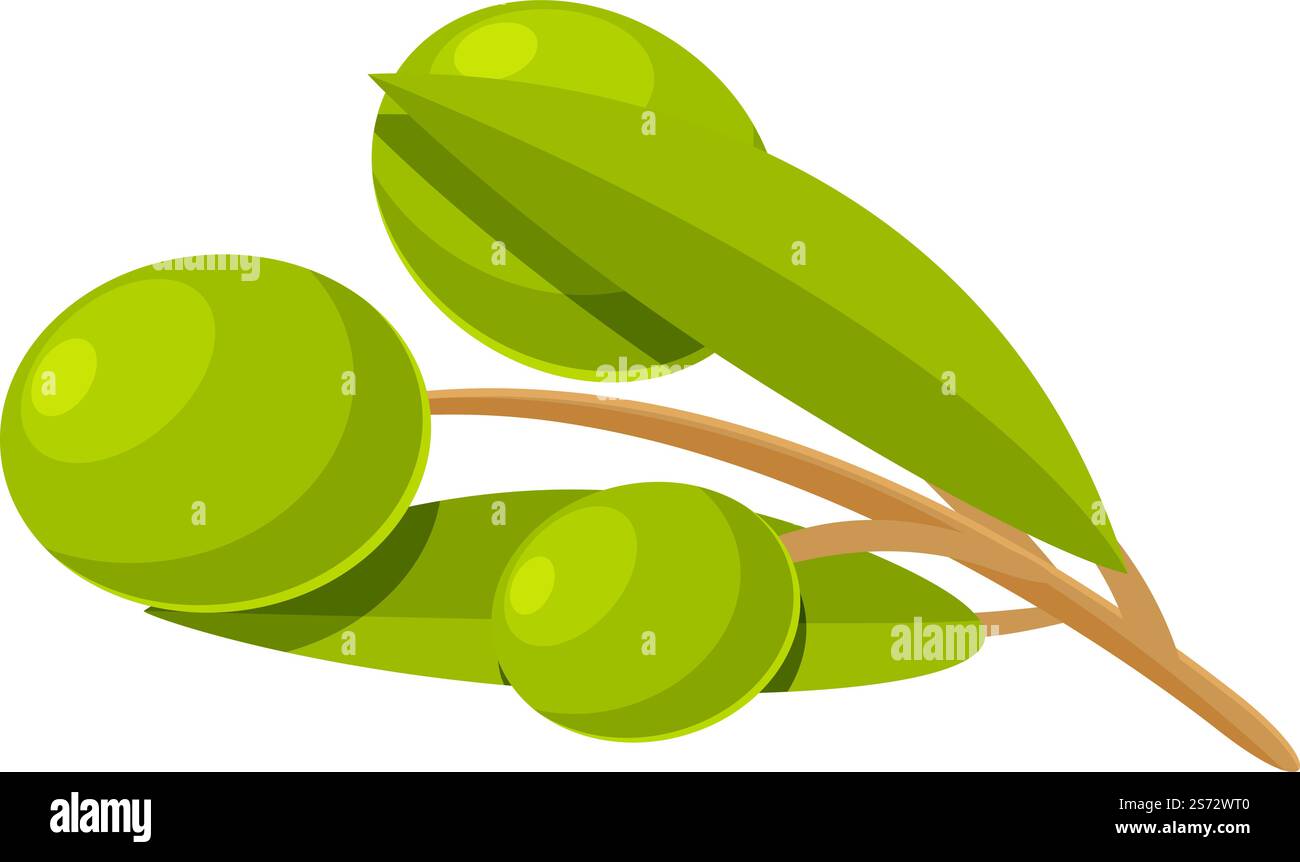 Green olives icon cartoon vector. Food olive. Virgin plant. Green ...