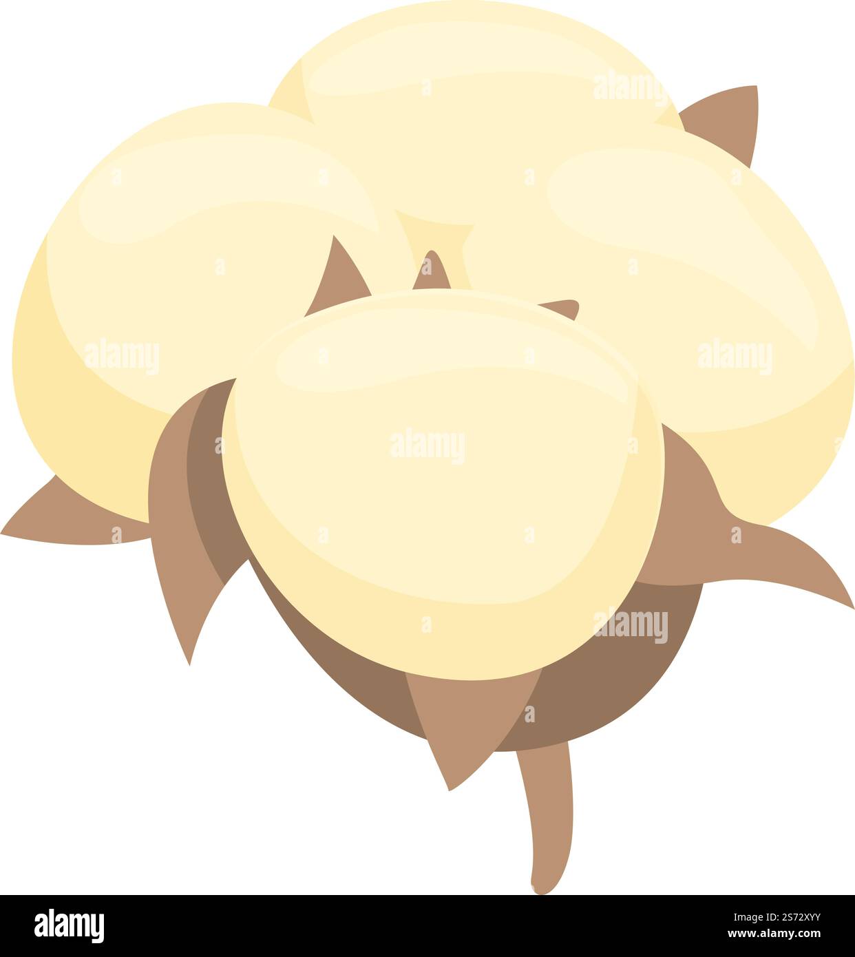 Stem cotton icon cartoon vector. Plant organic. Fabric natural. Stem ...