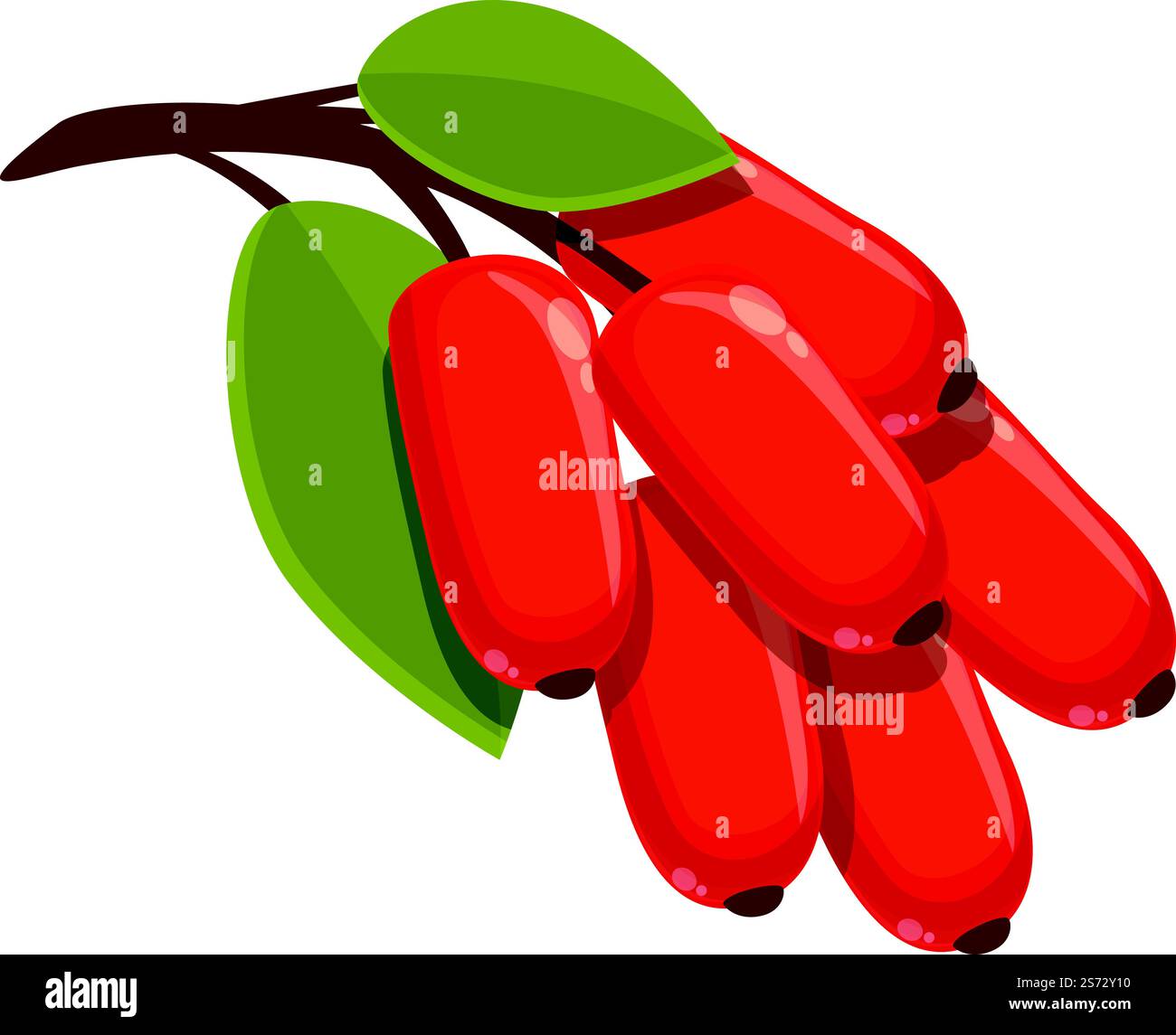 Eco barberry icon cartoon vector. Goji fruit. Organic plant. Eco ...